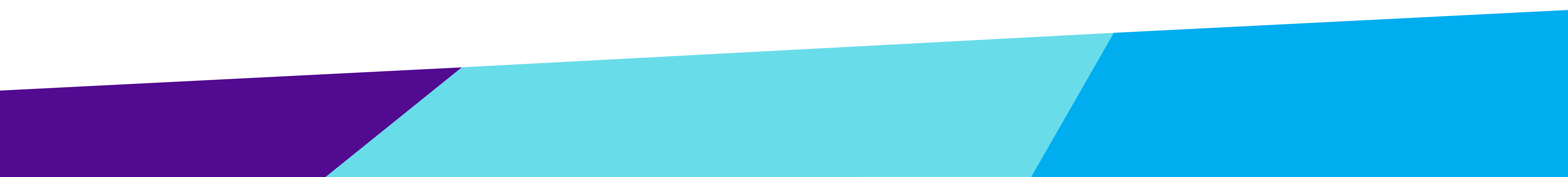 Secure Fiber Networks | Crown Castle & Ciena